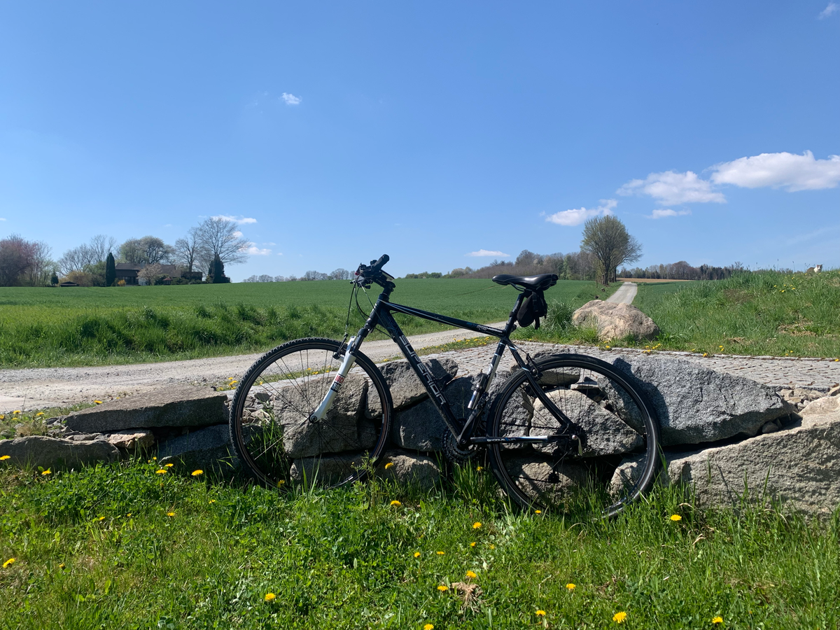 Detlef Scheppe: Gezielte Anregungen und fördernde Impulse im Radfahren